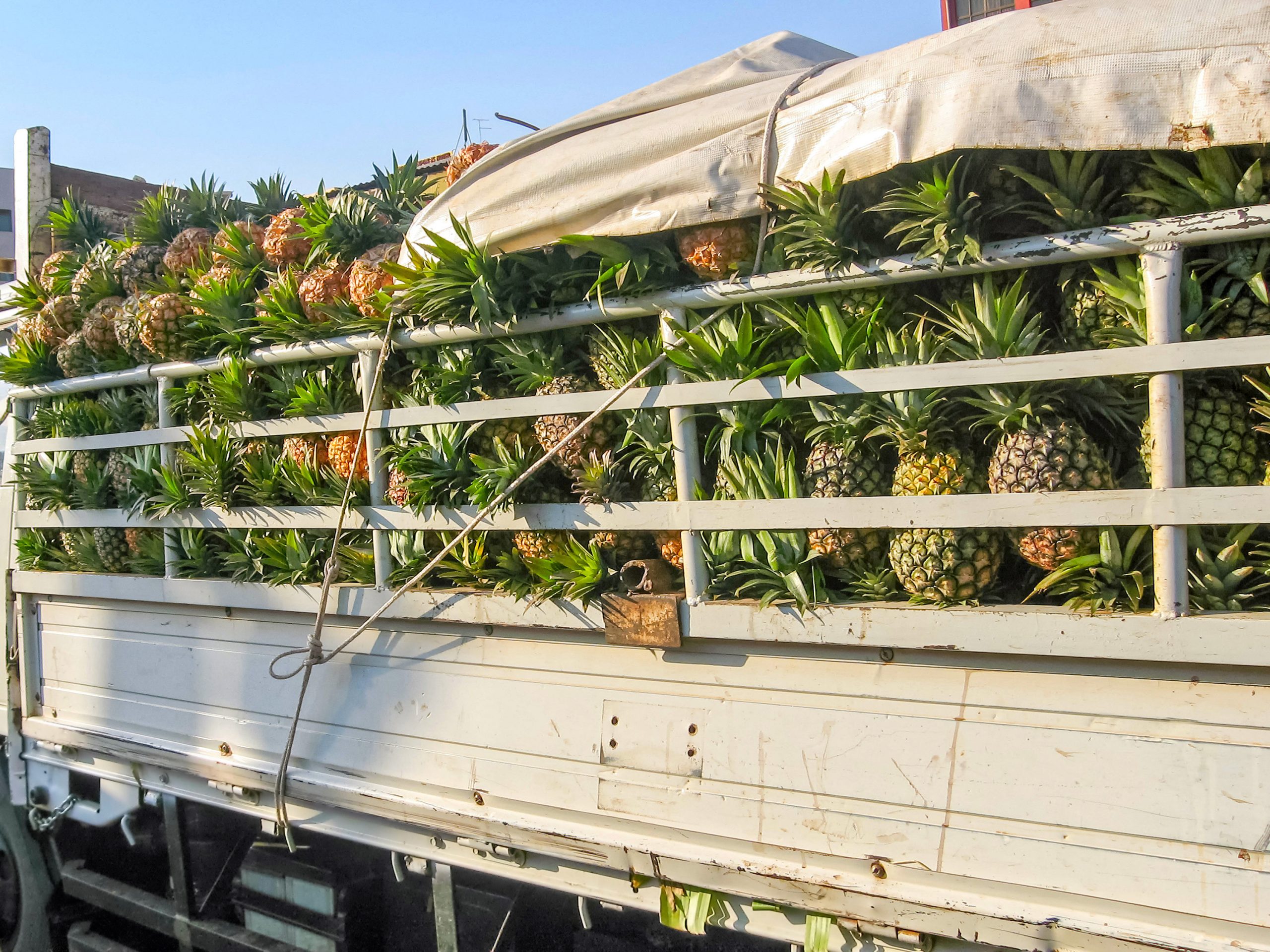 Importing Food and Beverages Into Canada | Farrow